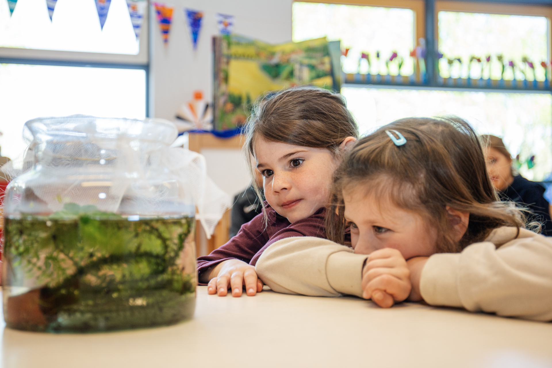 Home | Het Kompas - PC Basisonderwijs gemeente Vlissingen